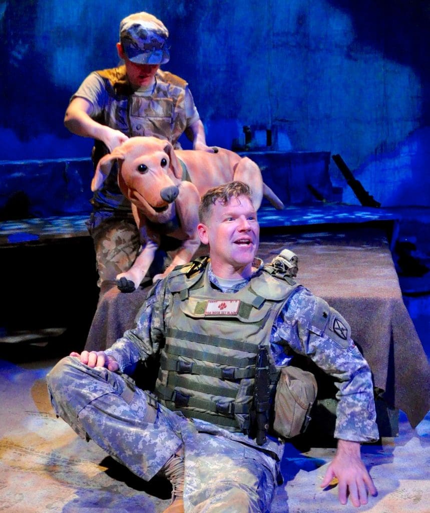 PAWS IN THE ACTION: Pets both real and invented make their way onto ...