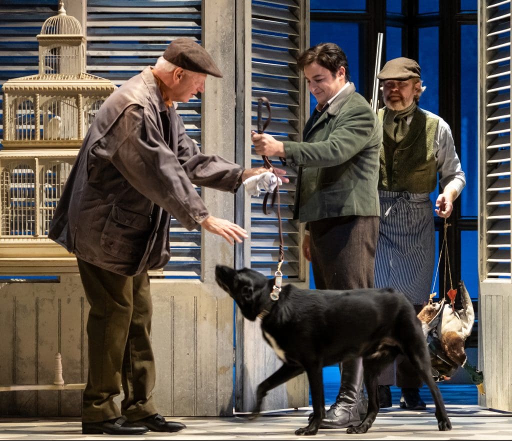 DIVA DOGS: Local pets continue to energize Kansas City stages | The ...