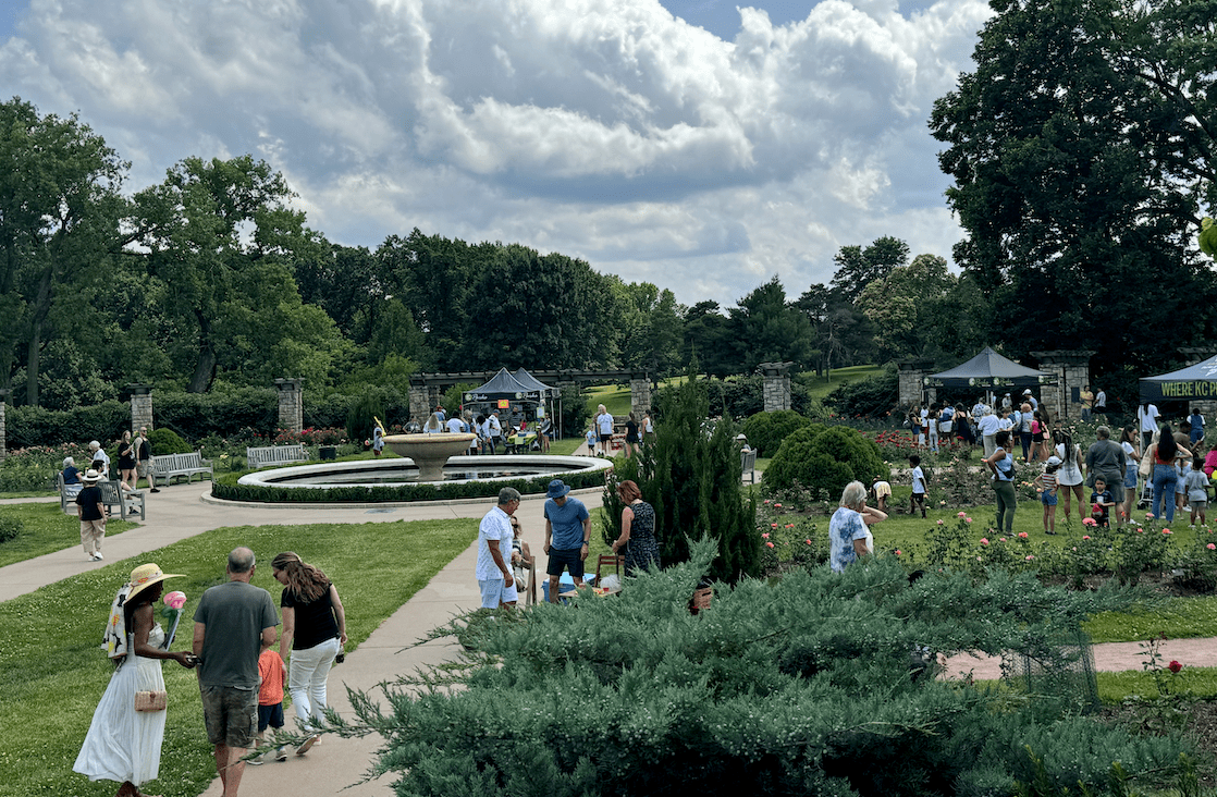 Kansas City Rose Society – Rose Day and Rose Show | The Independent